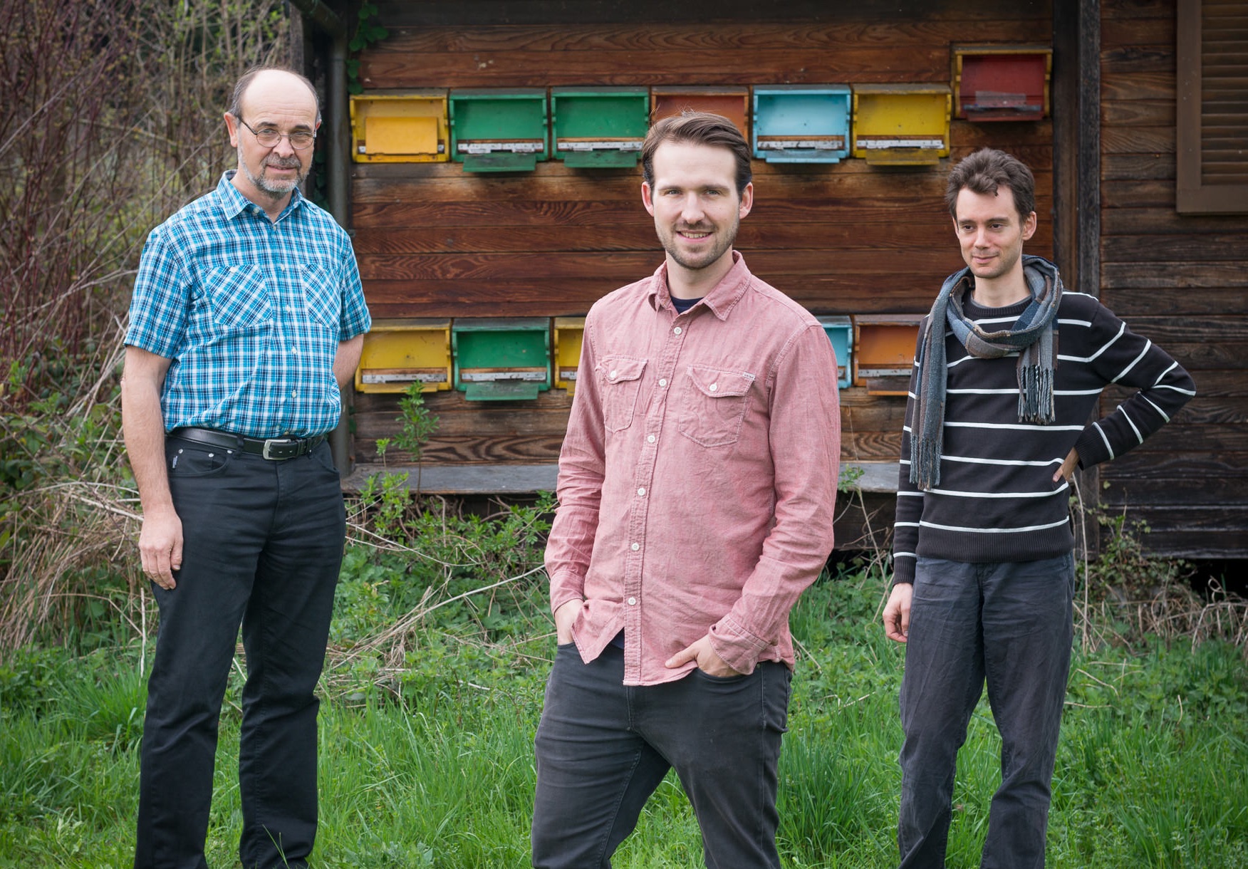 Safeguarding bees for a sustainable agriculture | House of Switzerland