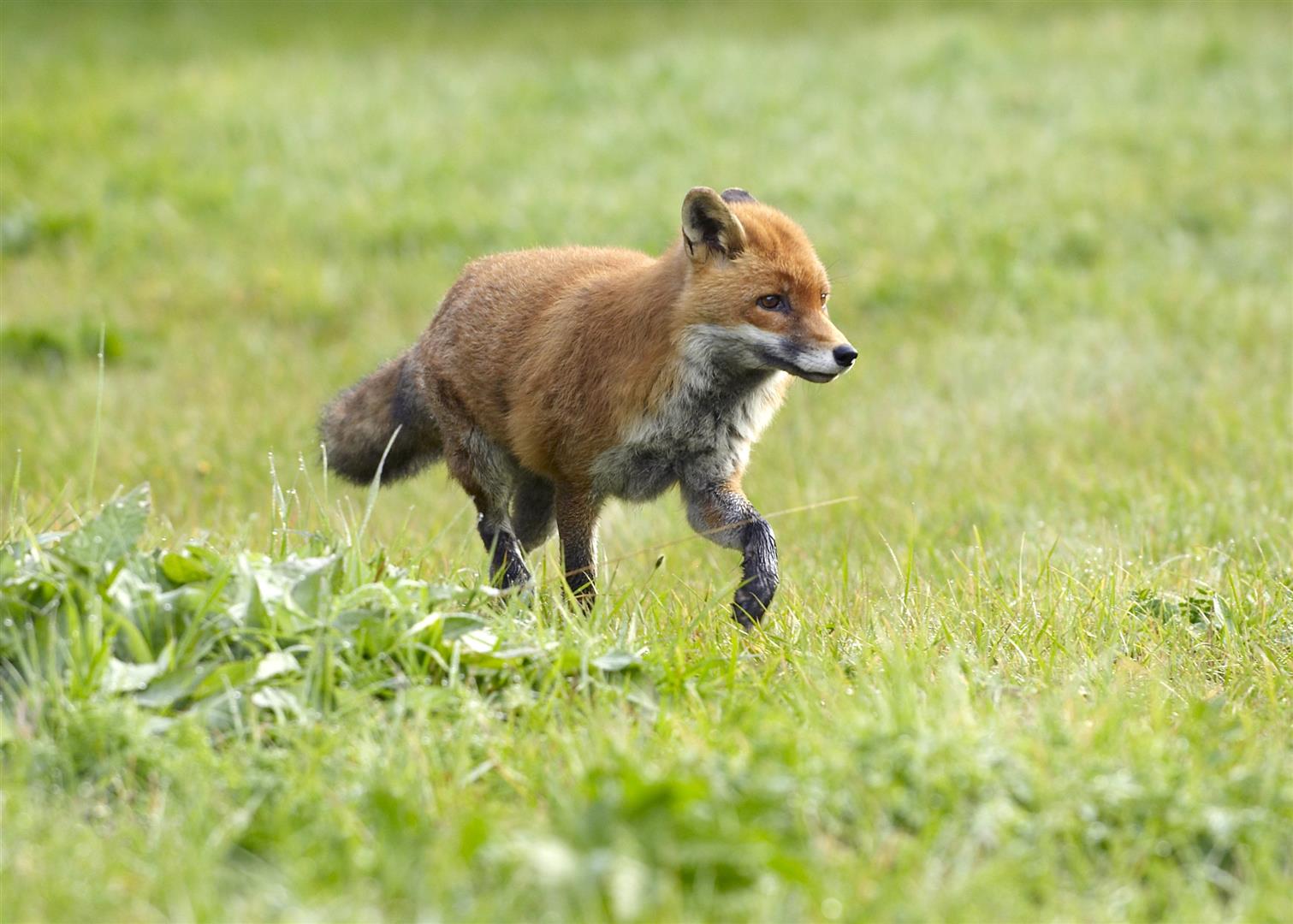 Key aspects of environmental protection in Switzerland| Swiss Environment