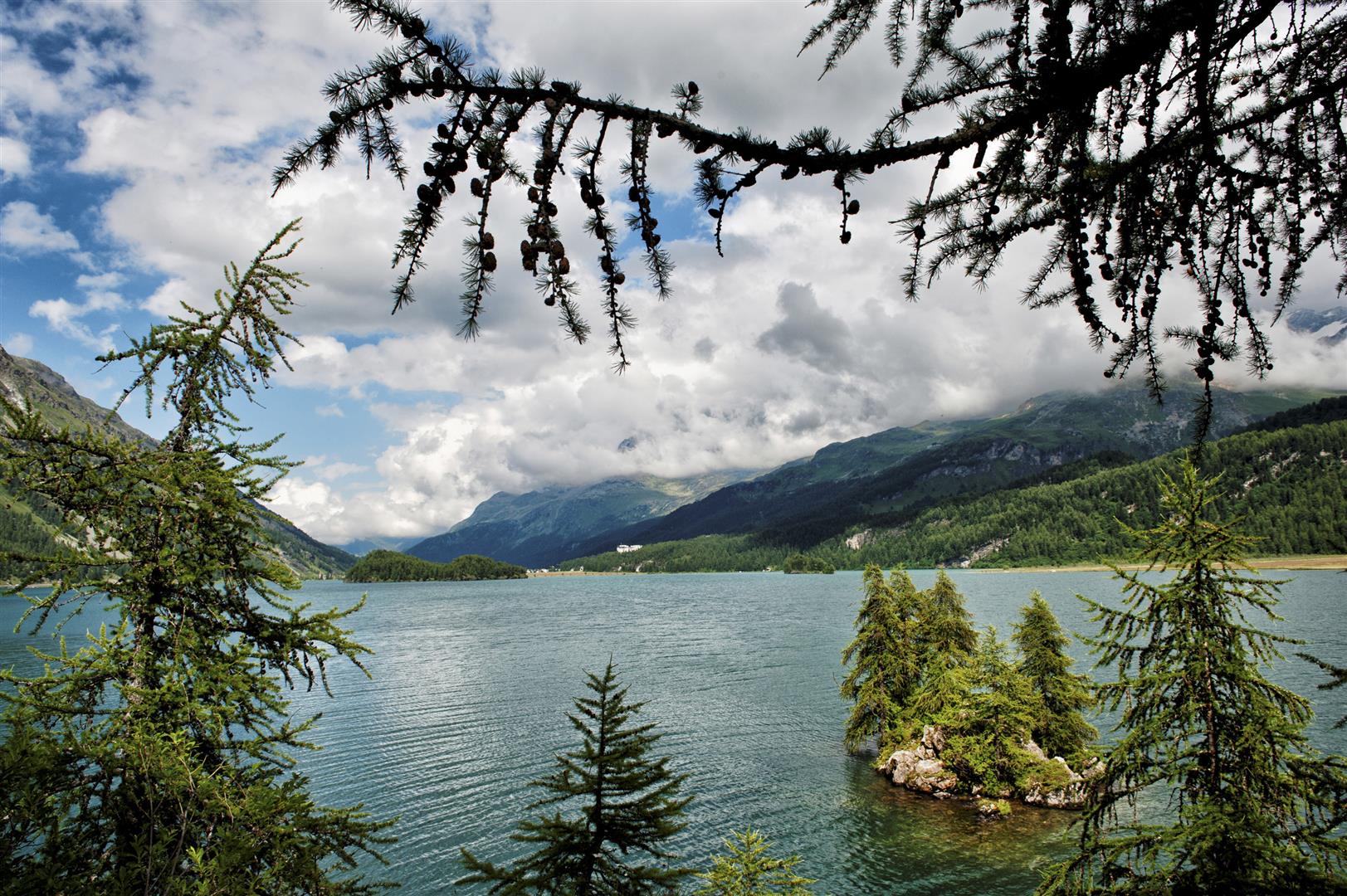 Les points forts de la Suisse pour protéger l’environnement ...