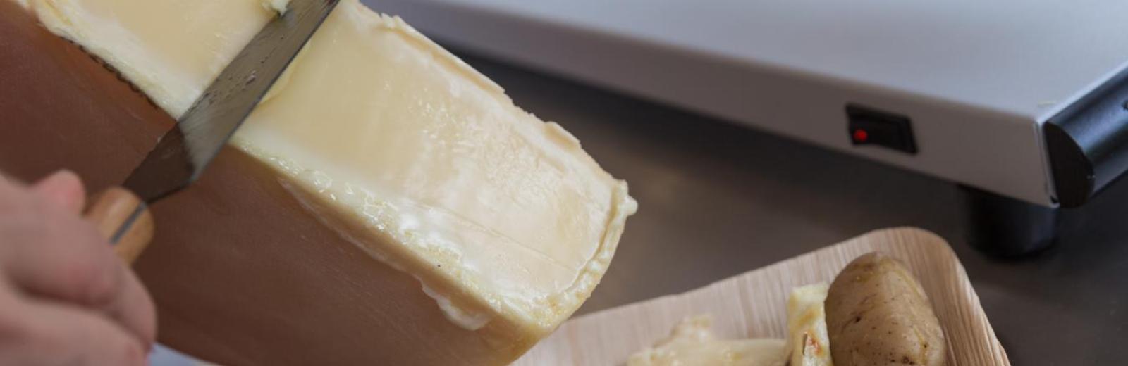 Cheese tasting: Raclettes du Valais DPO | House of Switzerland