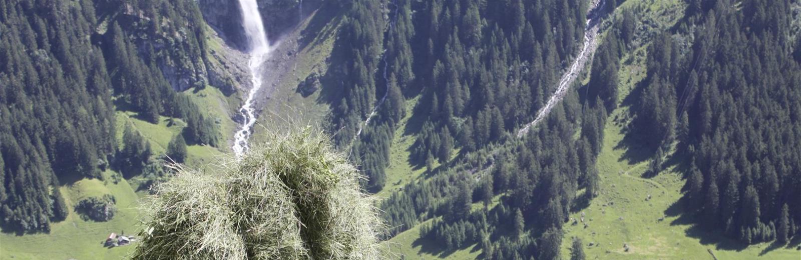 Wild hay making – a fascinating Swiss tradition | Swiss History